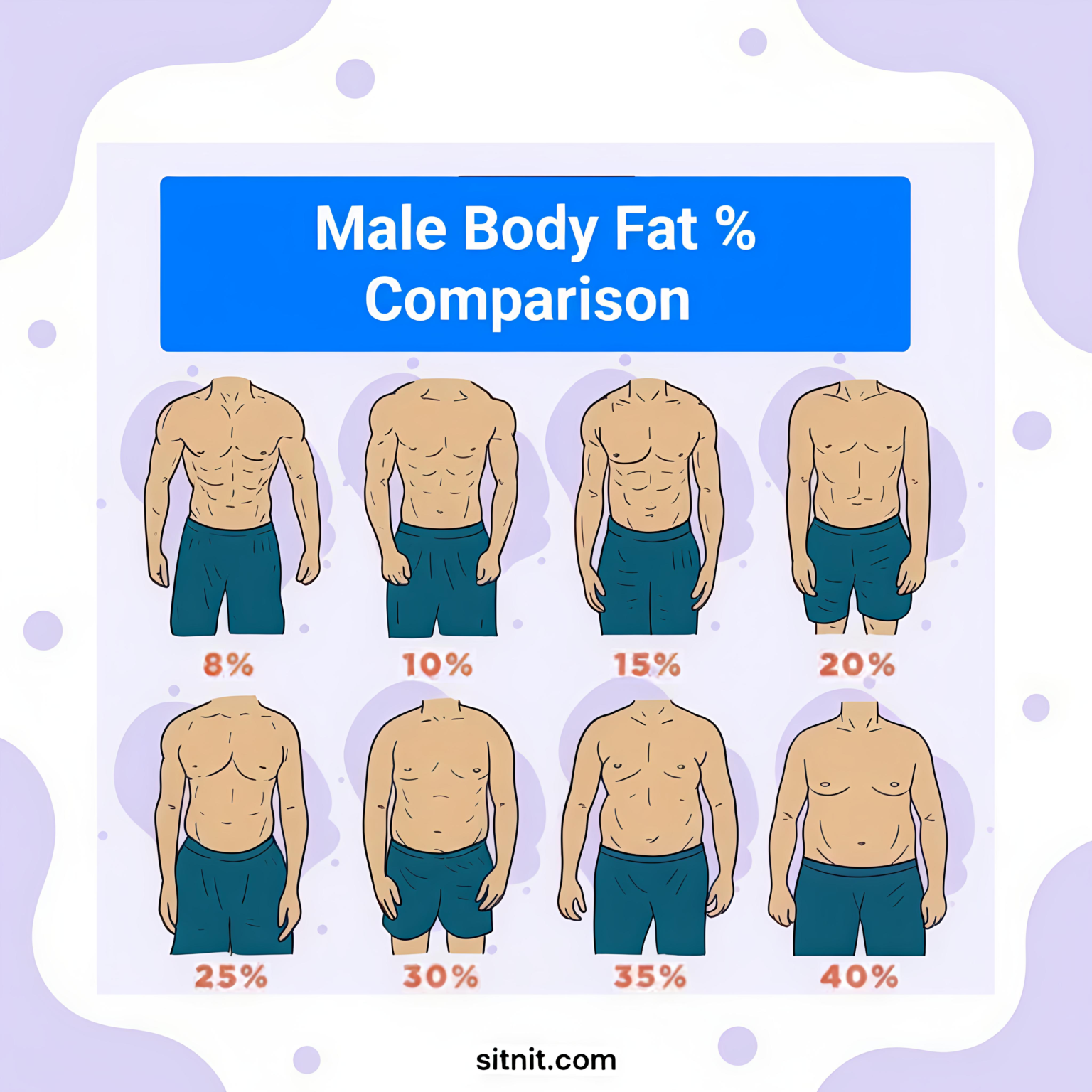 Body Fat Percentage Calculator For Men & Women